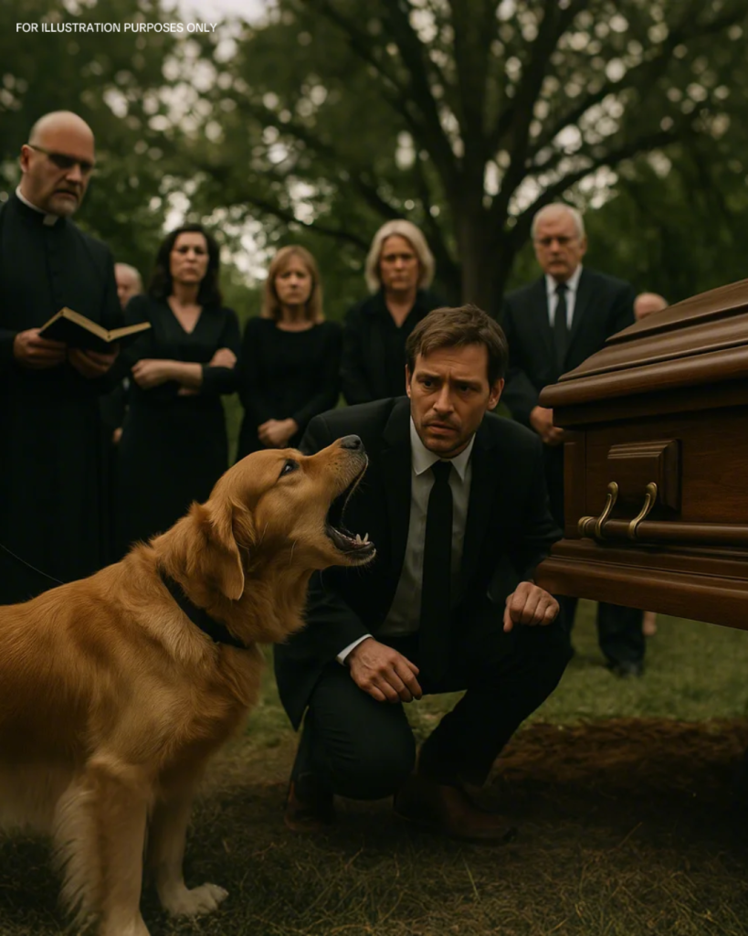 Dog Barks at Coffin during Funeral, Suspicious Son Opens It – What He ...